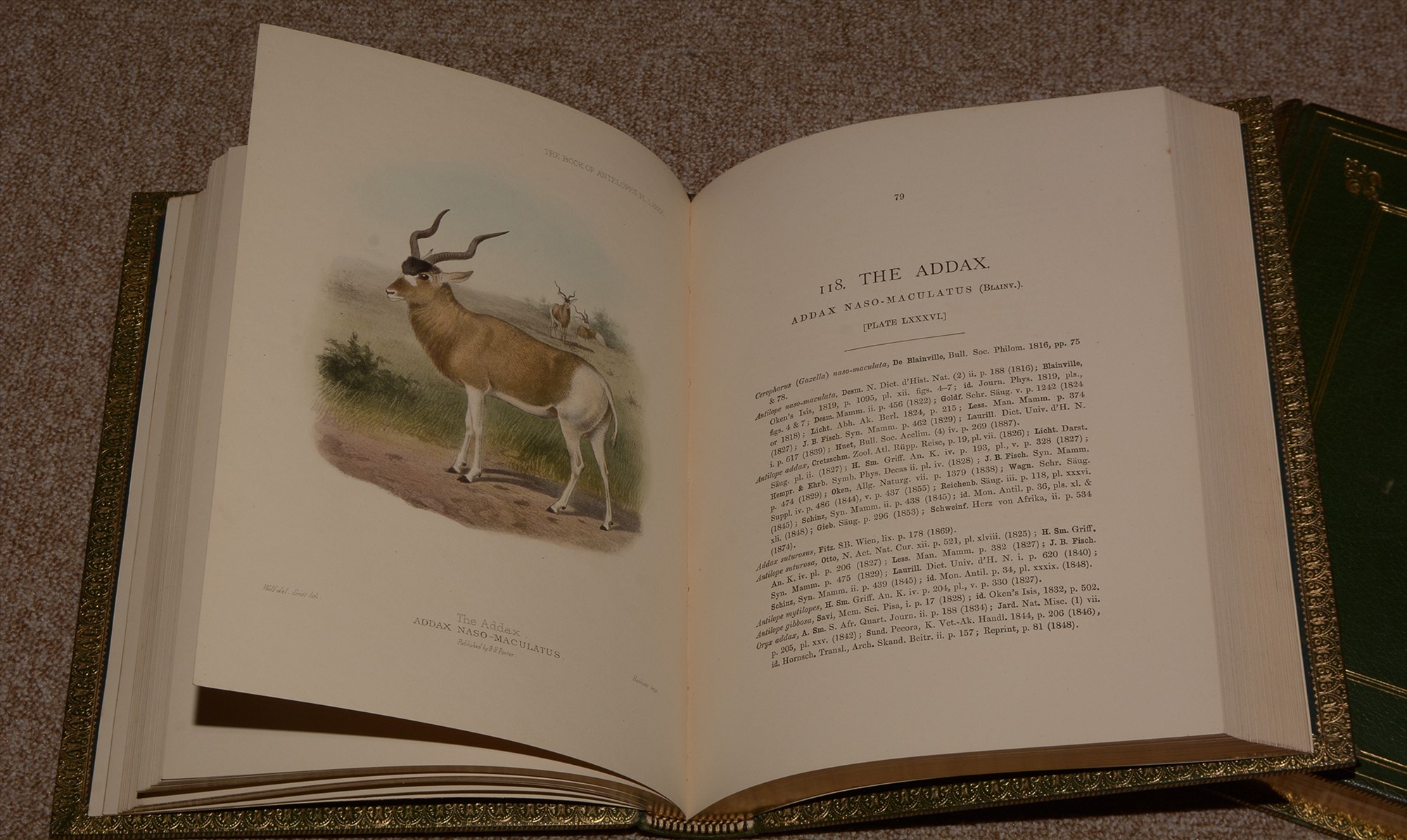 Lot 826 - Antelope Books.