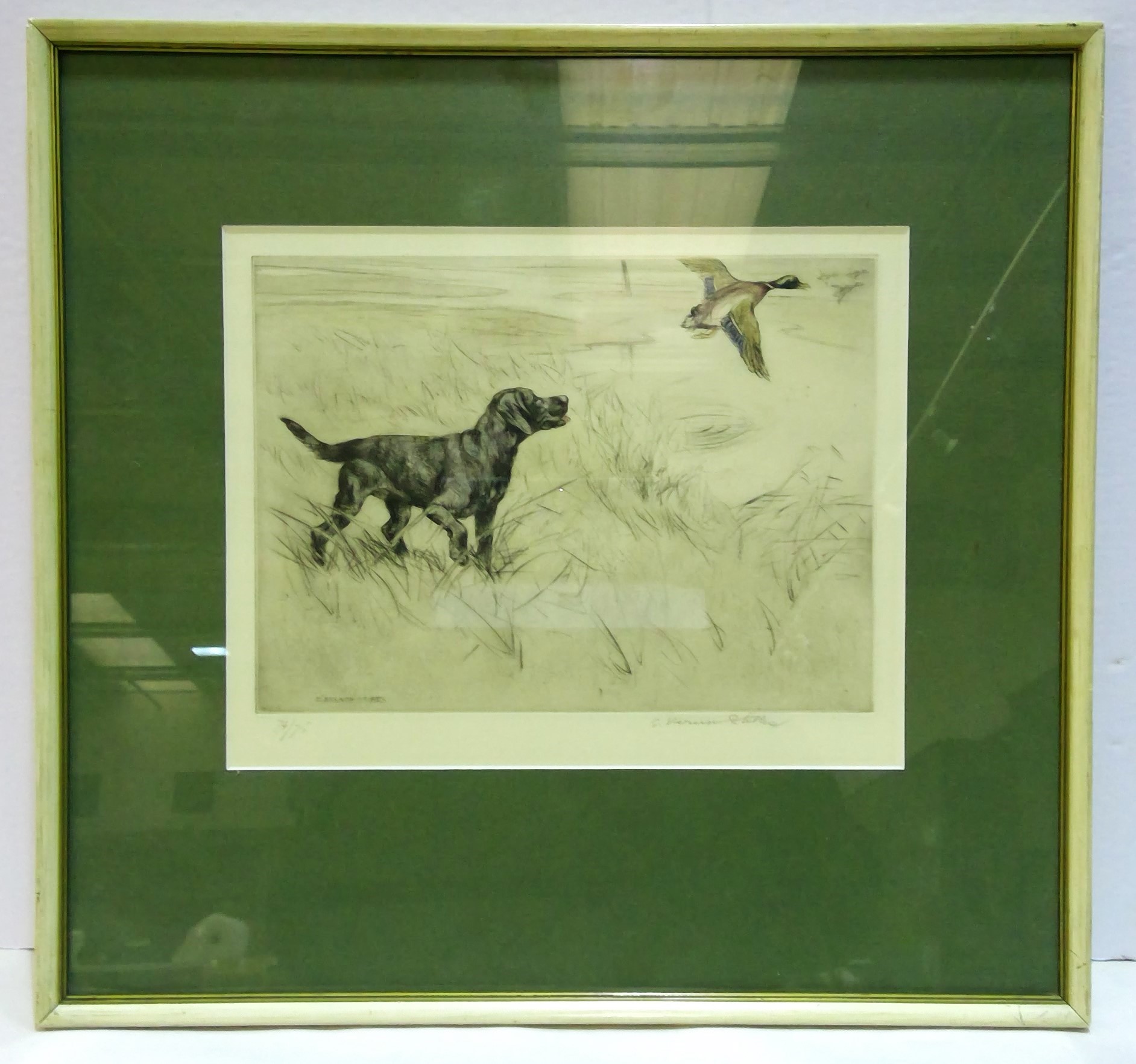 George Vernon Stokes - A setter and - auctions & price archive