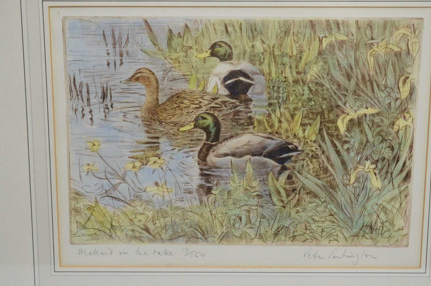 Lot 261 - Peter Partington - coloured etchings