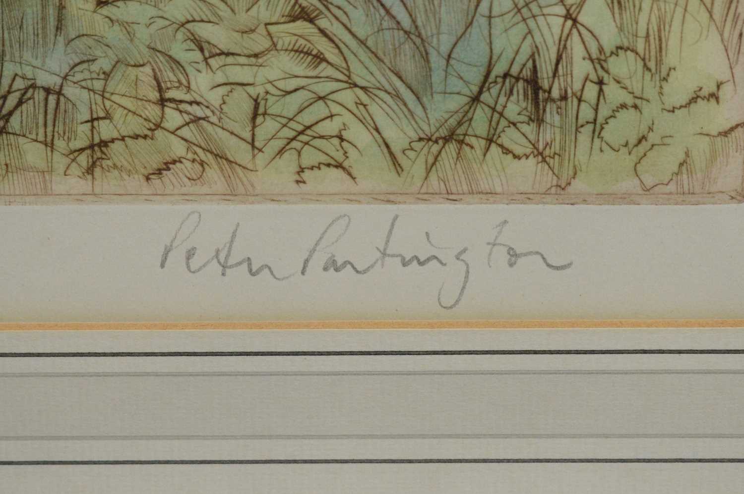 Lot 261 - Peter Partington - coloured etchings