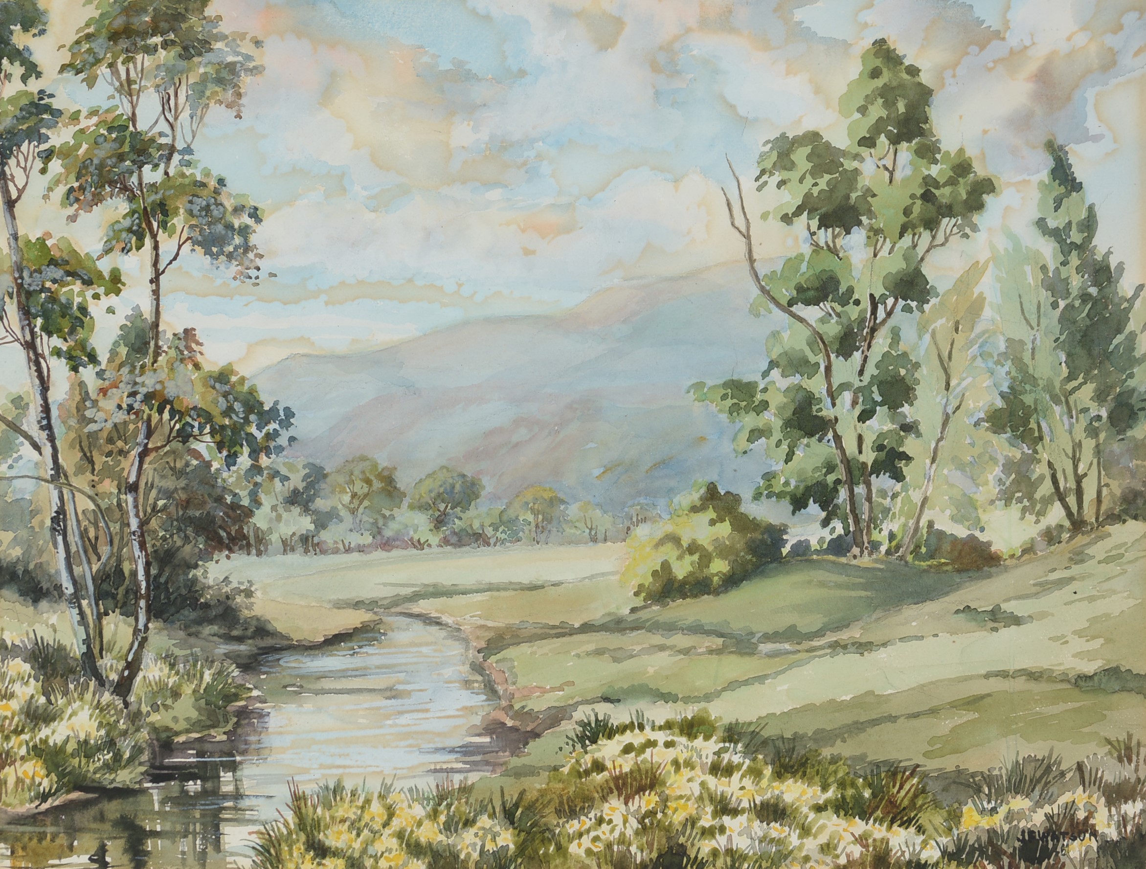 Lot 79 - James F. Watson - Daffodil Time, Callander