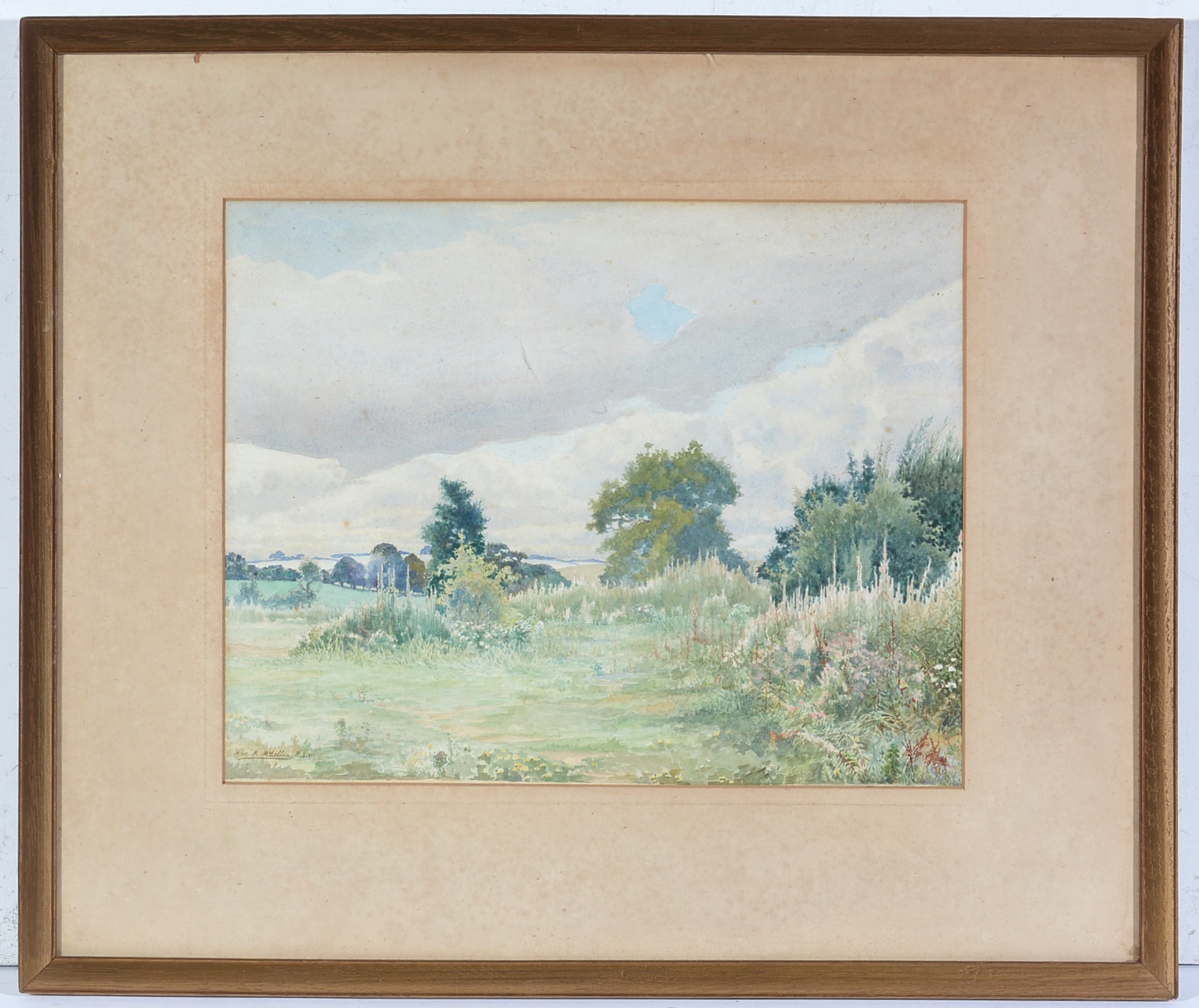 Lot 74 - Alexander Matheson McLellan RSW - Wildflower