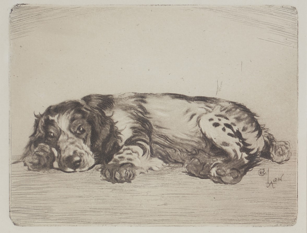 Lot 7 - Cecil Aldin - Two Dog Portraits | mixed