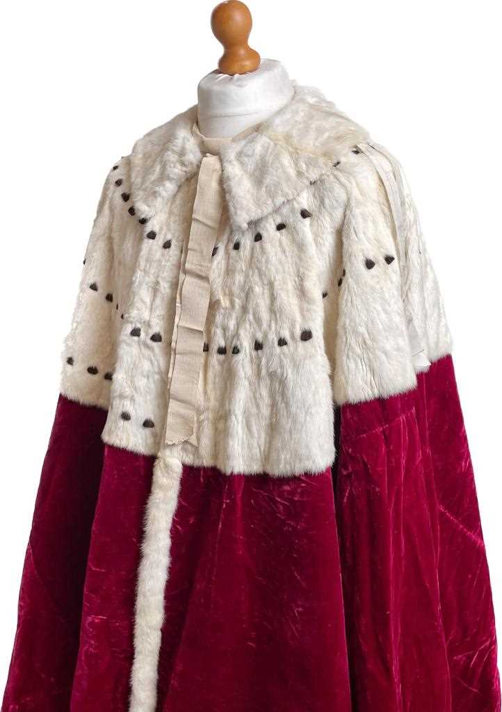 Lot 1120 - The Peerage robes worn by Viscount Melville