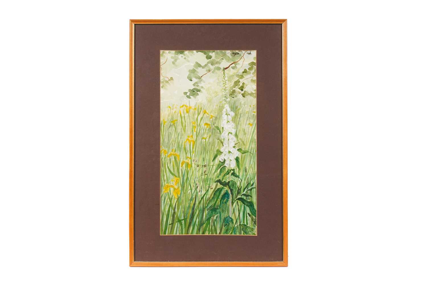 Lot 69 - Sadie Allen - The White Foxglove