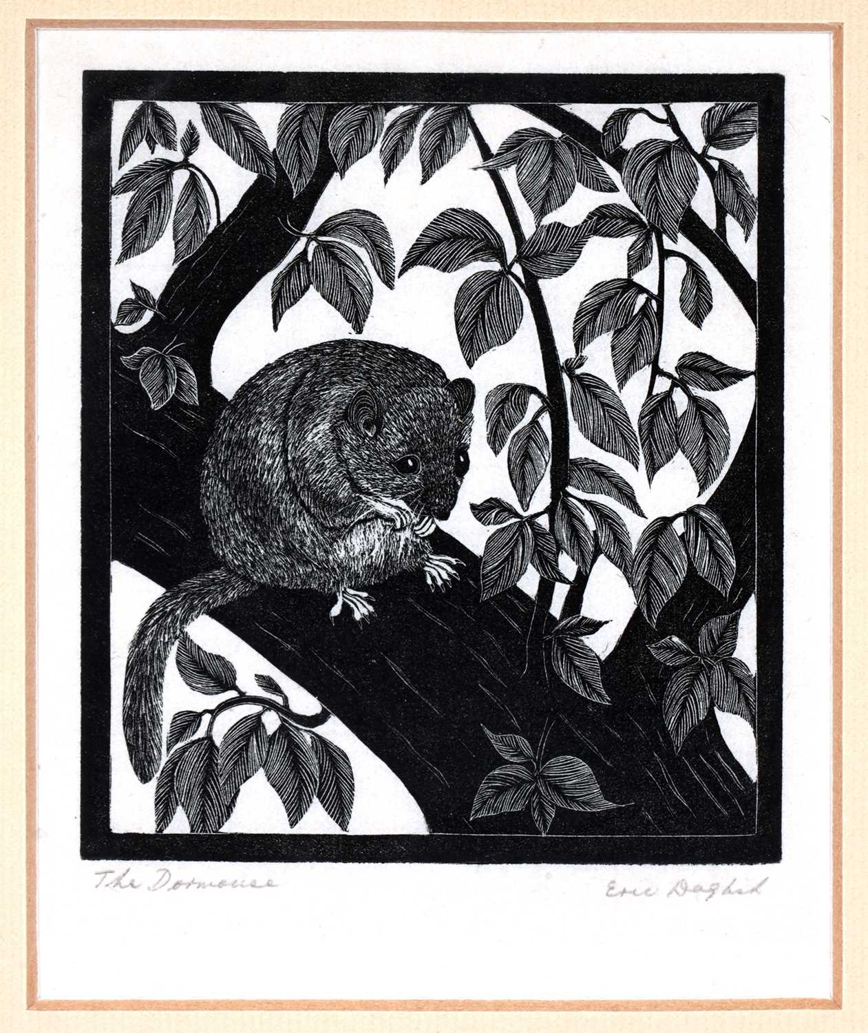 Lot 256 - Eric Fitch Daglish - The Doormouse | wood