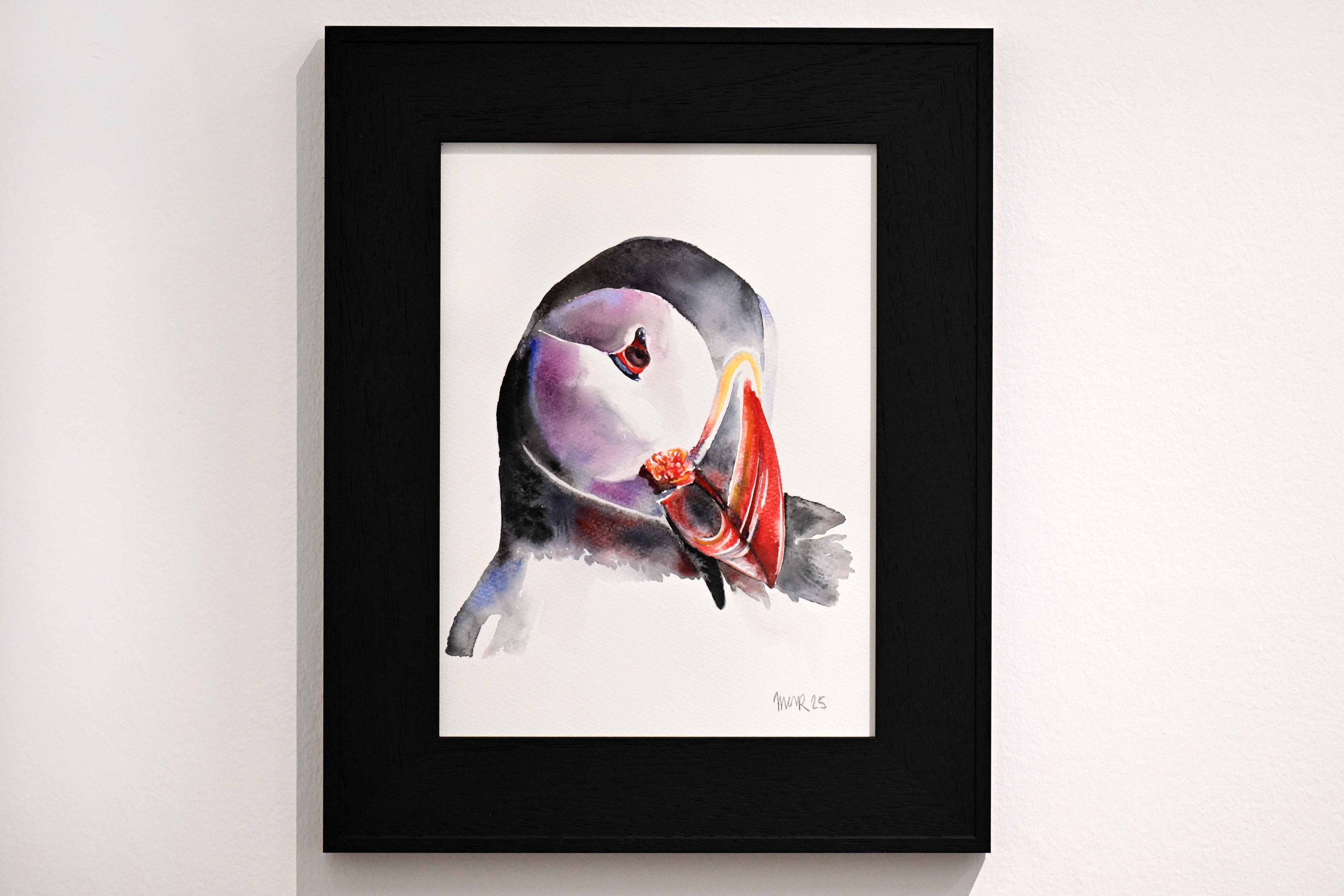 Lot 11 - Jim Moir, Puffin, Framed and Signed Original